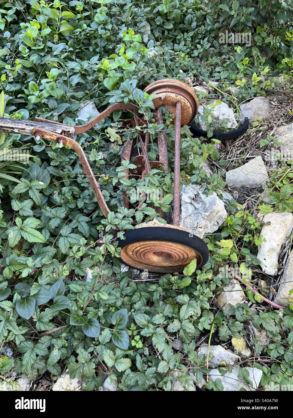 Abandoned rusty old push mower covered in green periwinkle vines Stock ...