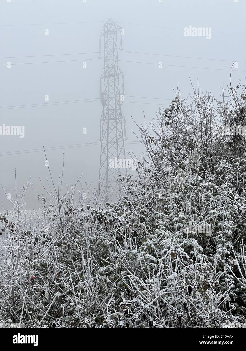 Frozen landscape with electricity pylon in the freezing fog in winter ...