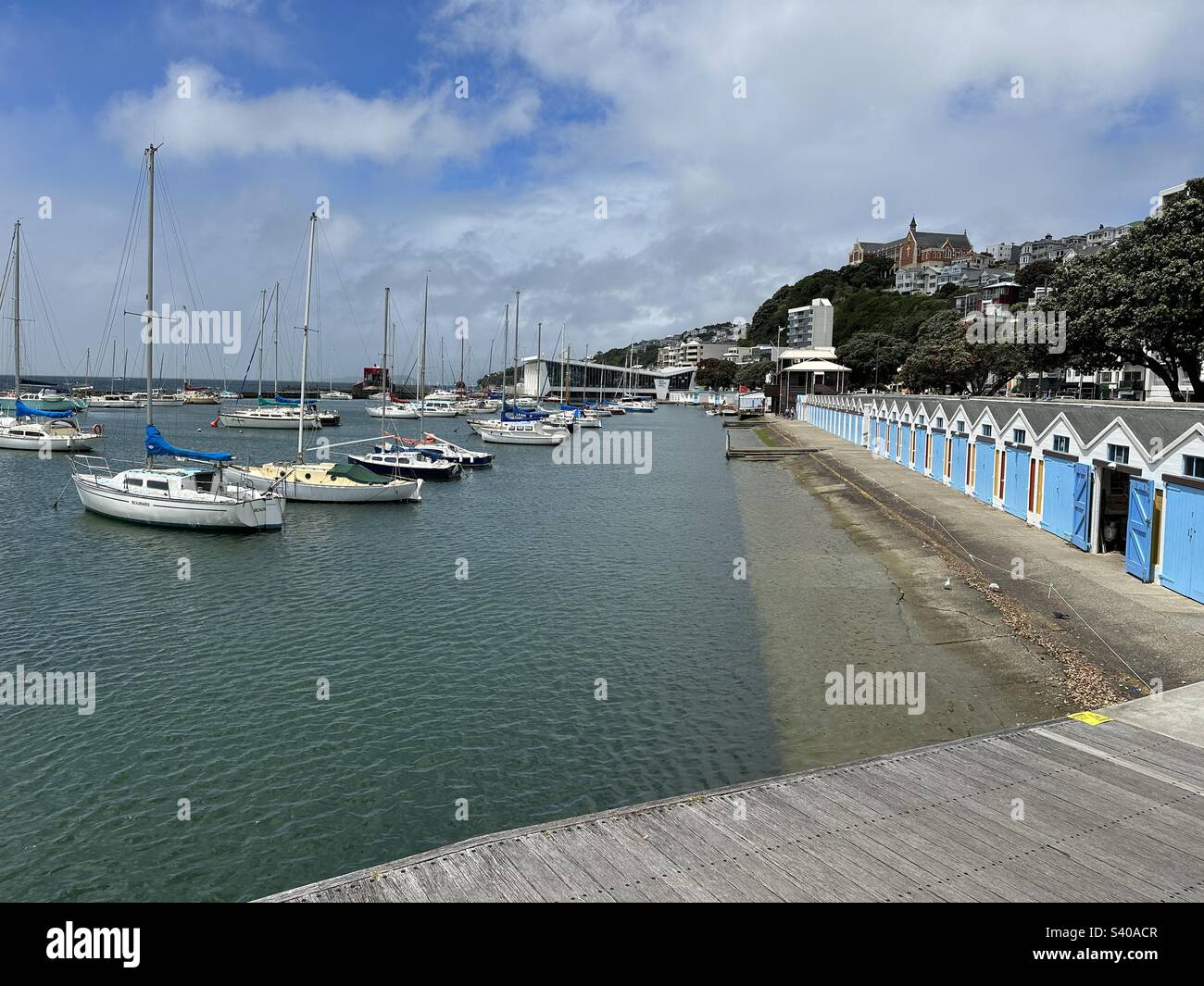 Port nicholson hi-res stock photography and images - Alamy