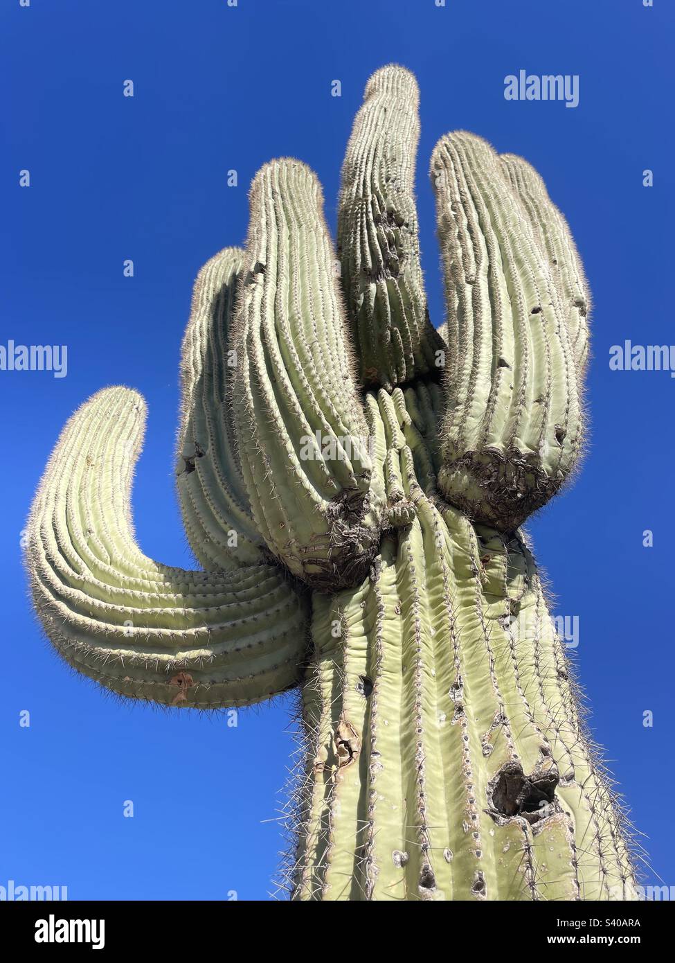 Sharp angle view hi-res stock photography and images - Alamy