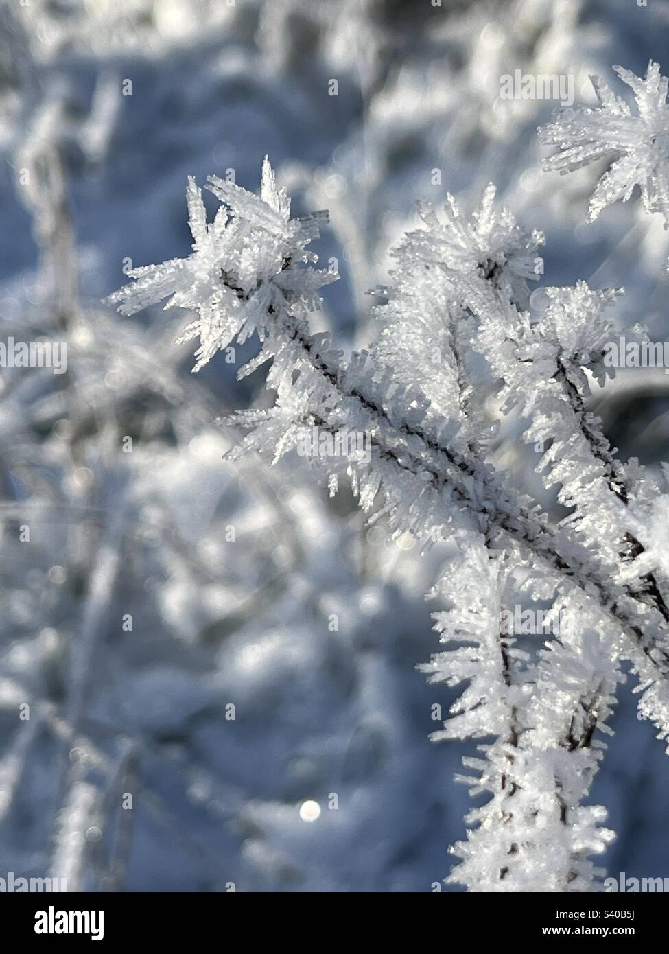 Snap cold 2022 hi-res stock photography and images - Alamy