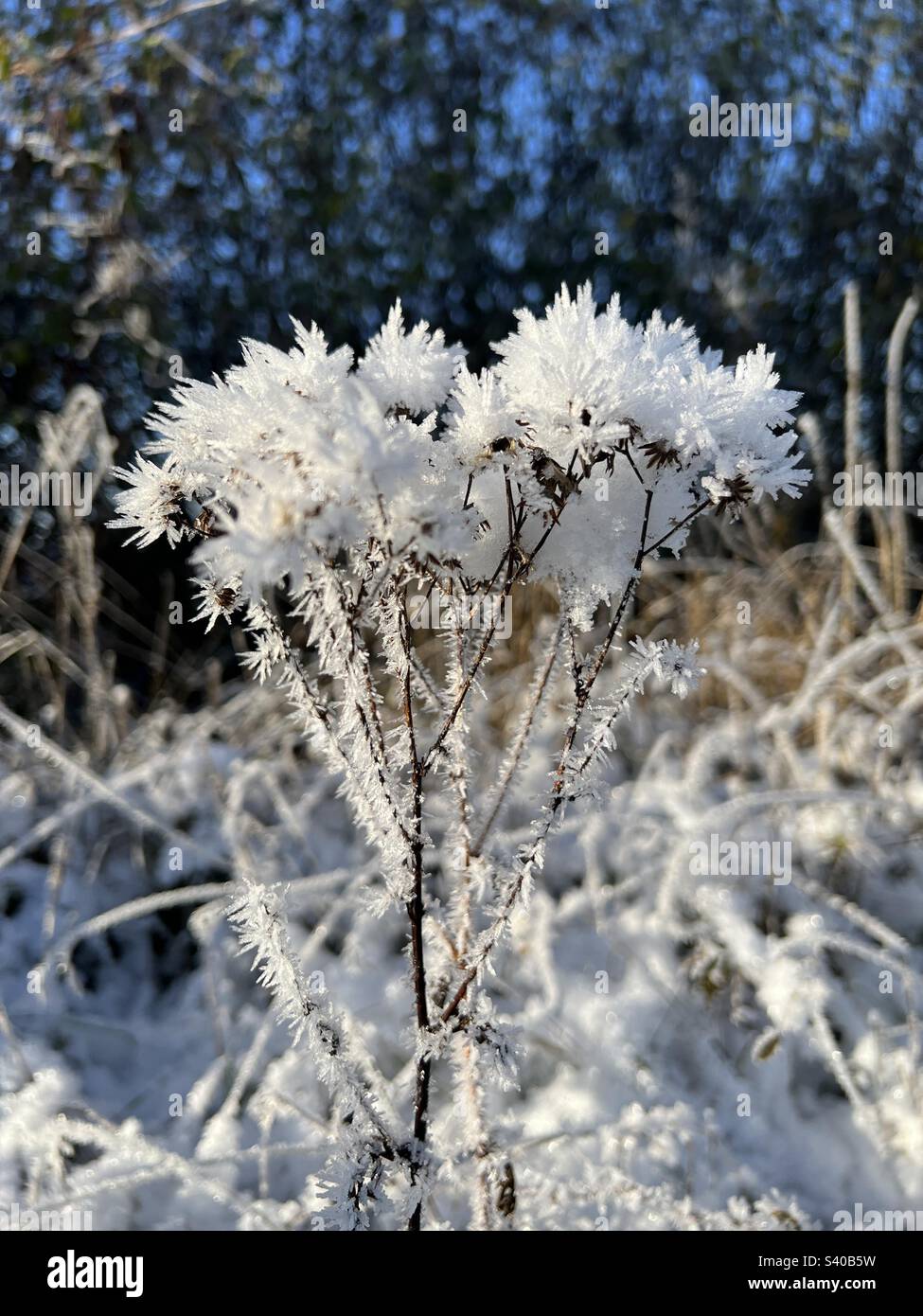 Cold snap in december 2022 hi-res stock photography and images - Alamy