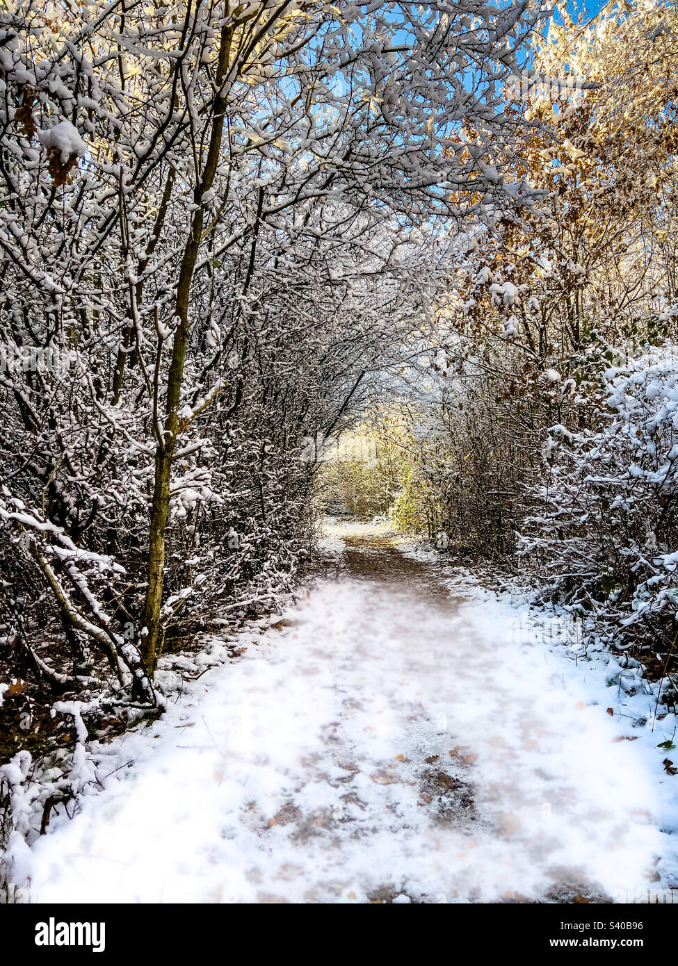 Snowy winters scene in St Albans, Uk Stock Photo - Alamy