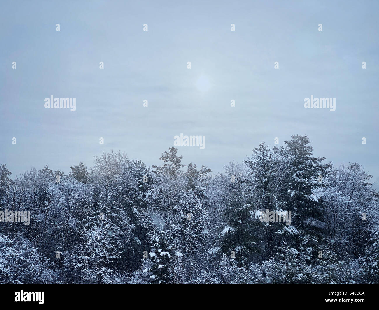 Cold grey winter sky hi-res stock photography and images - Alamy