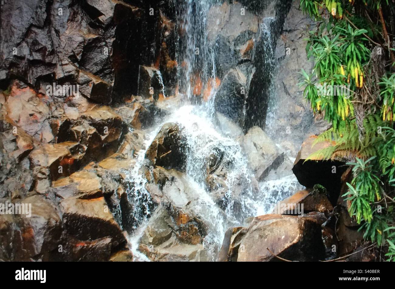 Images of Australia, Stevensons Falls, The Otways, Victoria, waterfalls ...