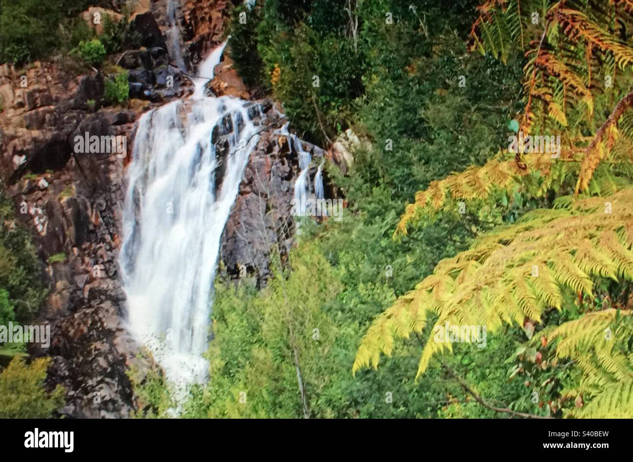 Images of Australia, Stevensons Falls, The Otways, Victoria, waterfalls ...