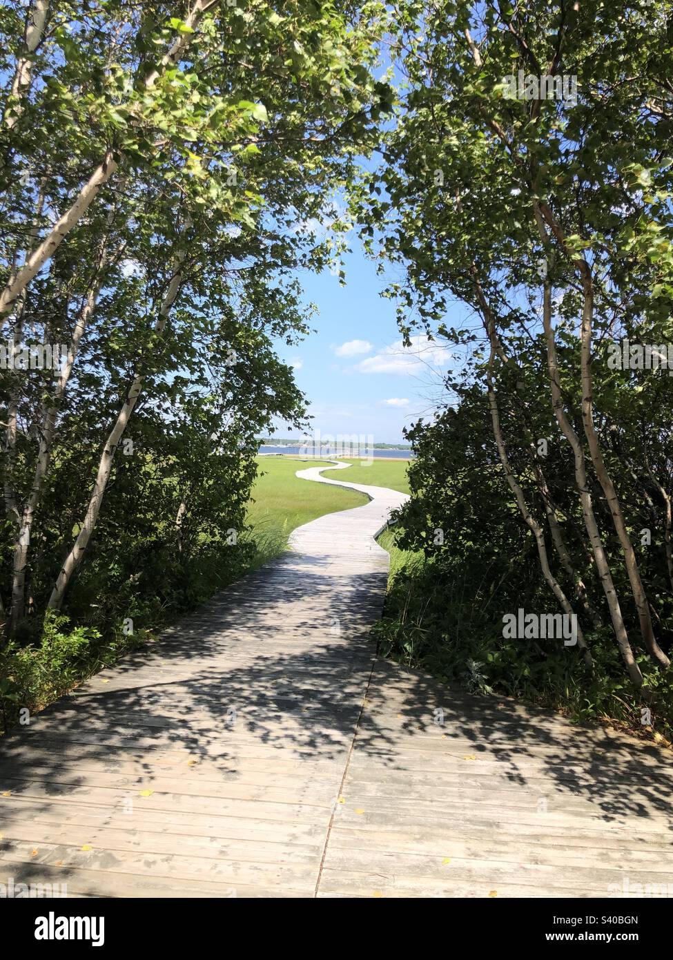 Pathways in nature hi-res stock photography and images - Alamy