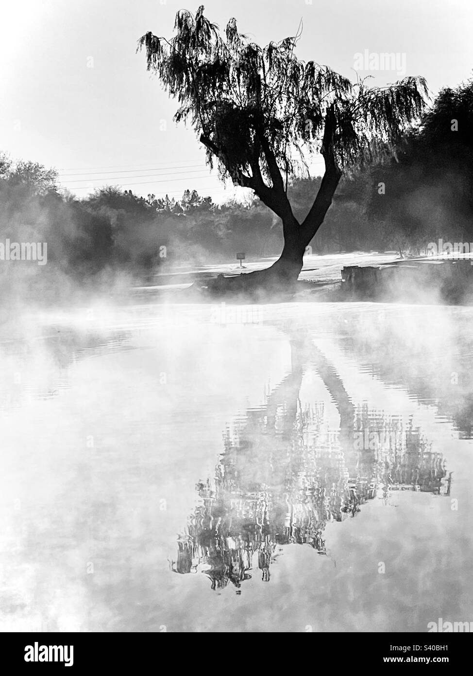 Mist early Black and White Stock Photos & Images - Alamy