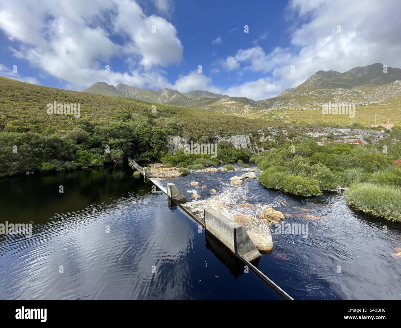 Kogelberg nature reserve hi-res stock photography and images - Alamy