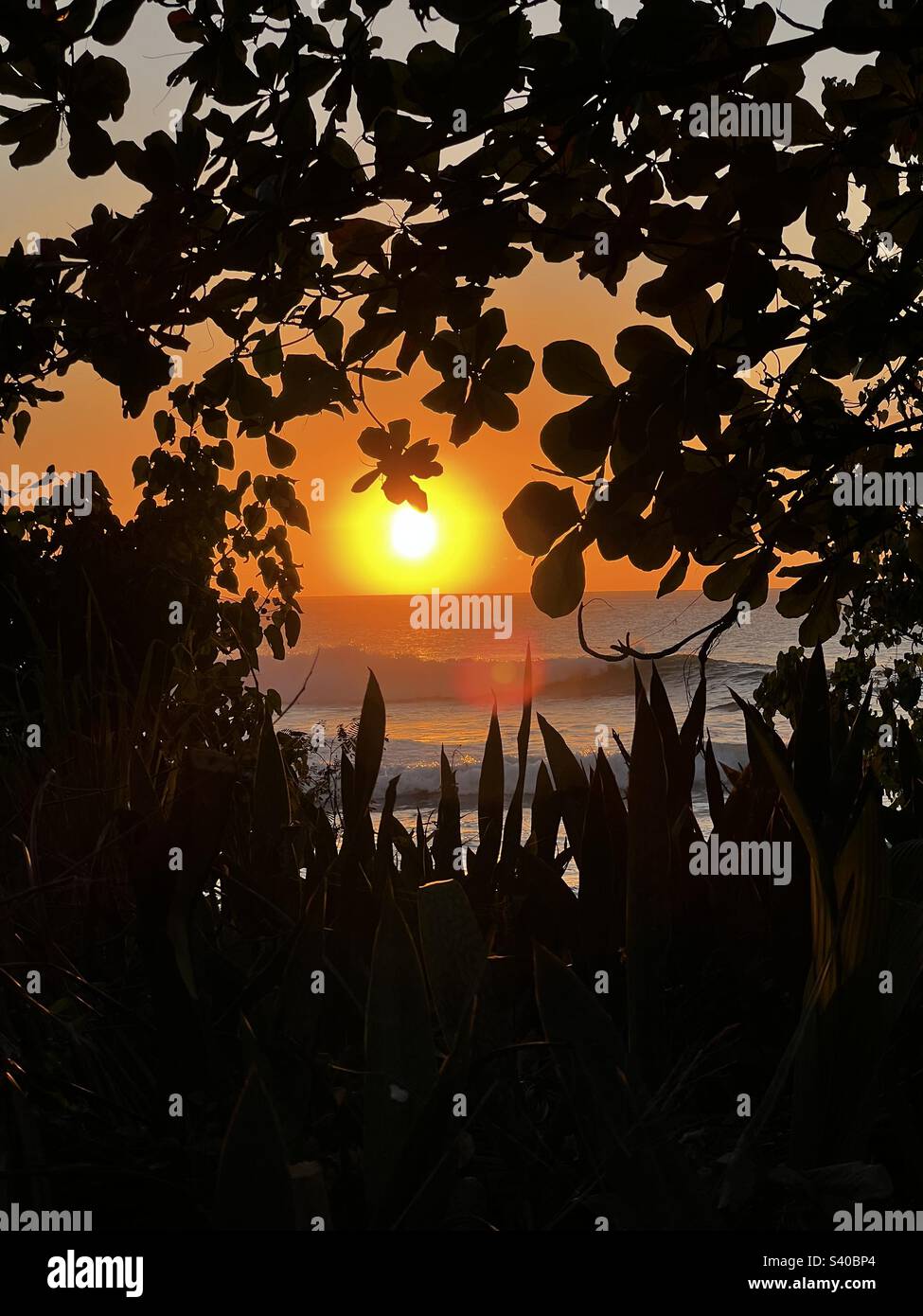 Rincon puerto rico beach hi-res stock photography and images - Alamy