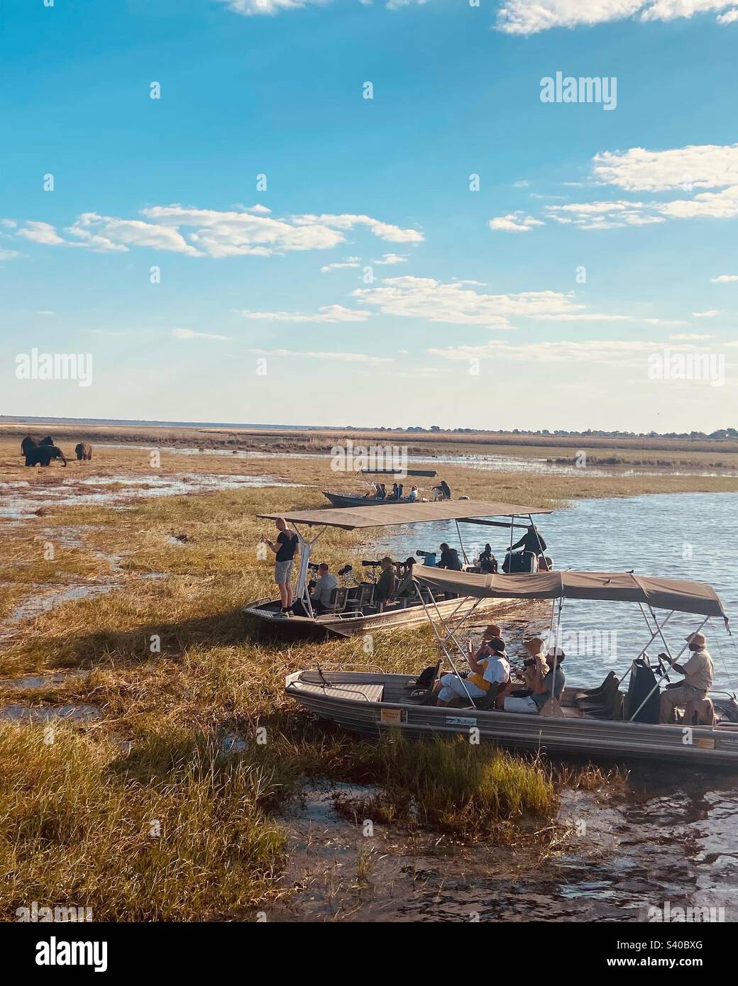 Three boats in Chobe River, Botswana, Africa in river safari and ...