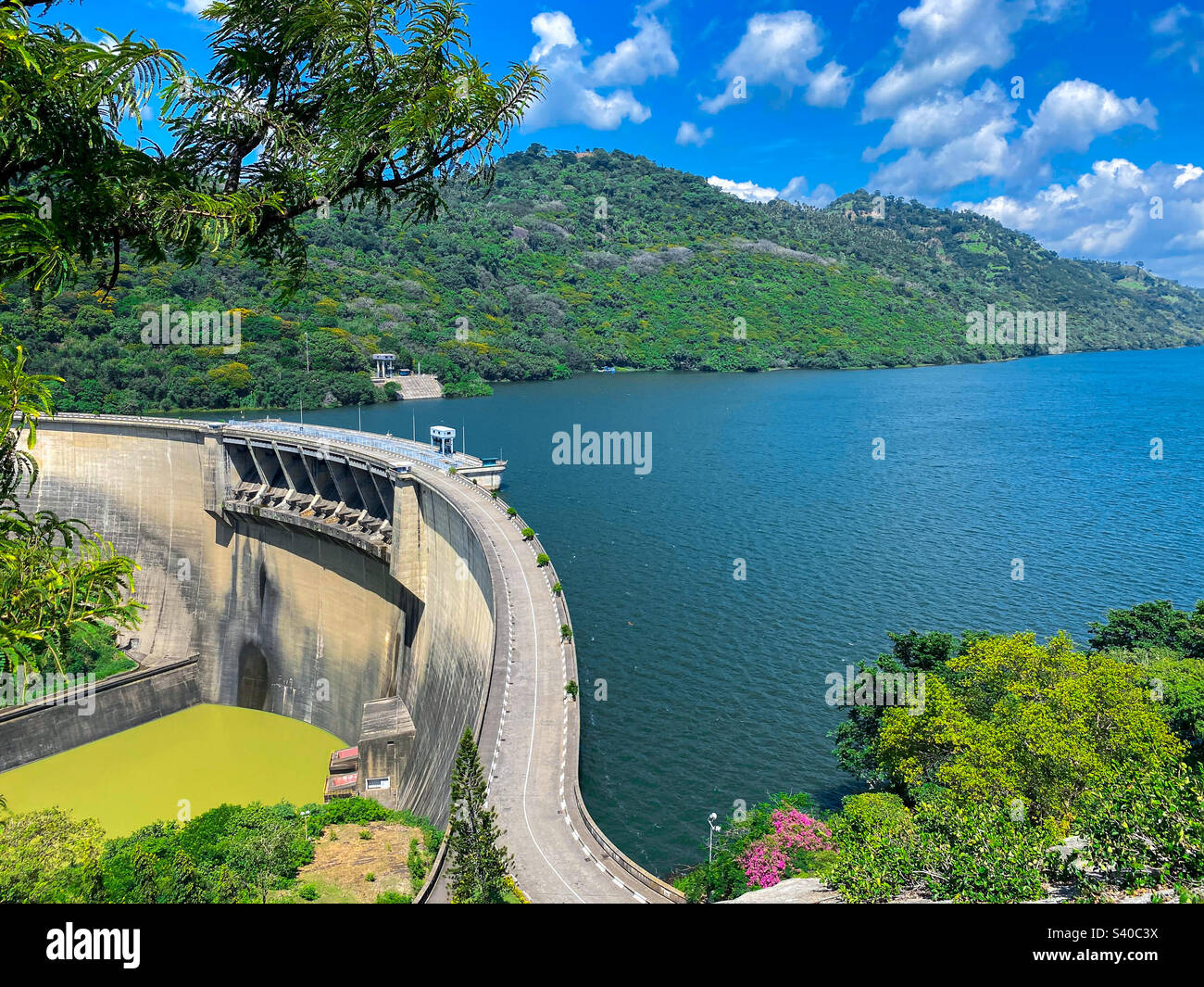 Beauty of majesty hi-res stock photography and images - Alamy