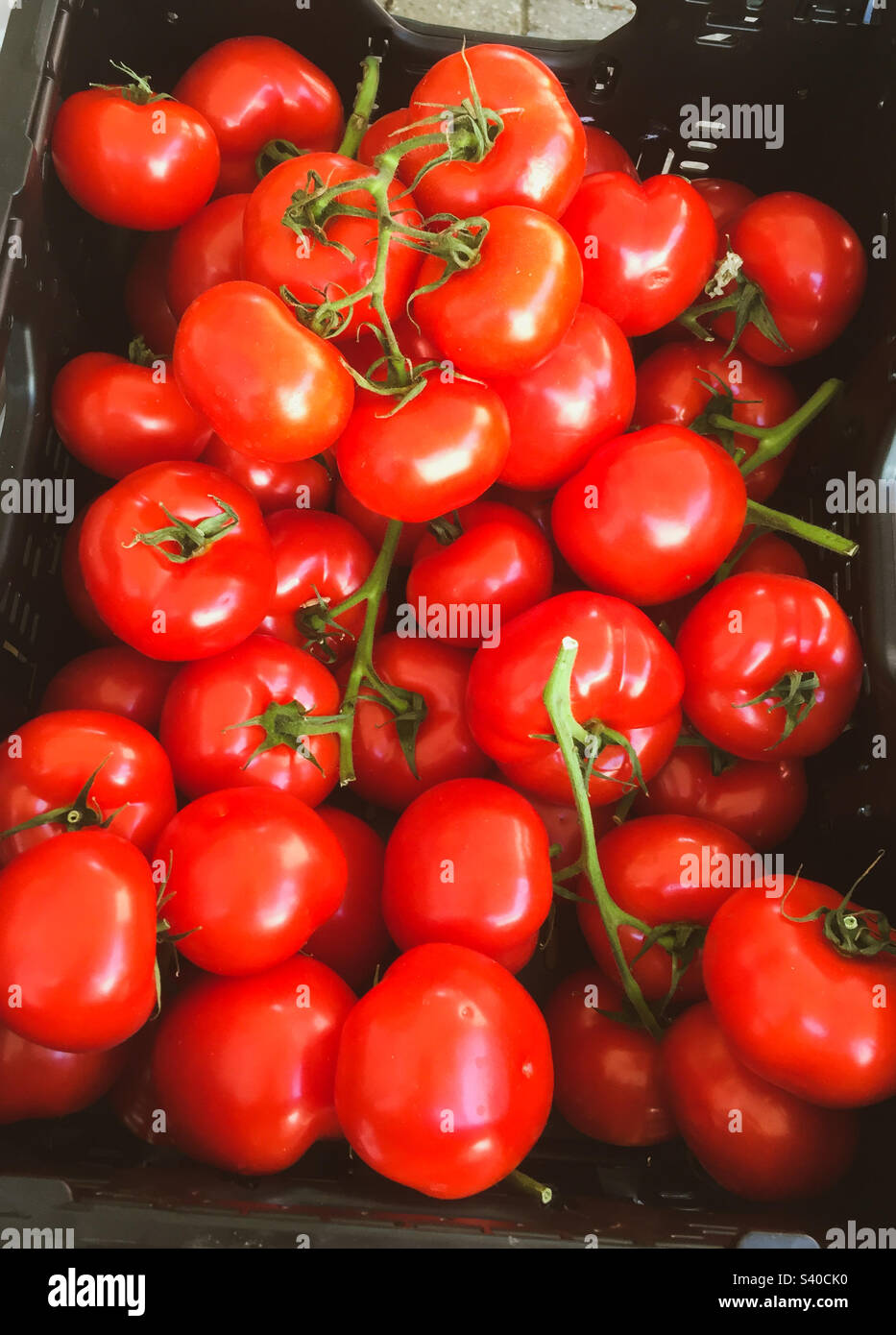 Tomatoes by the box hi-res stock photography and images - Alamy