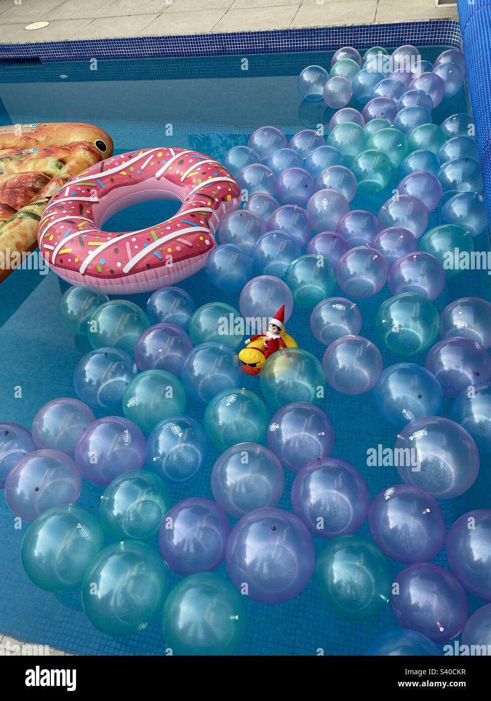 Elf swimming hi-res stock photography and images - Alamy