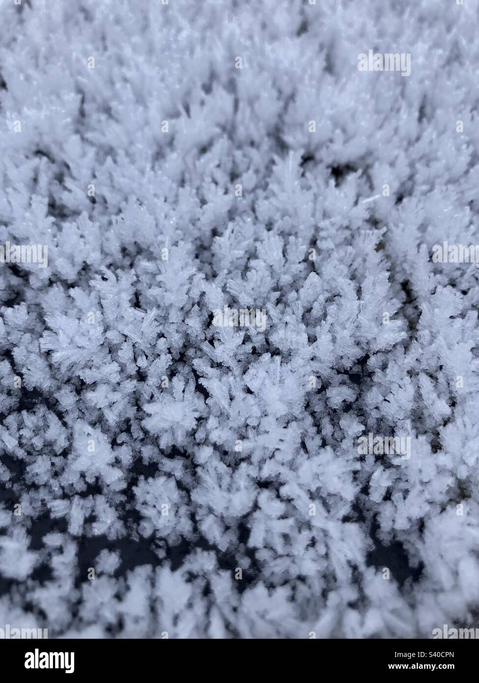 Ice crystals cold hi-res stock photography and images - Alamy