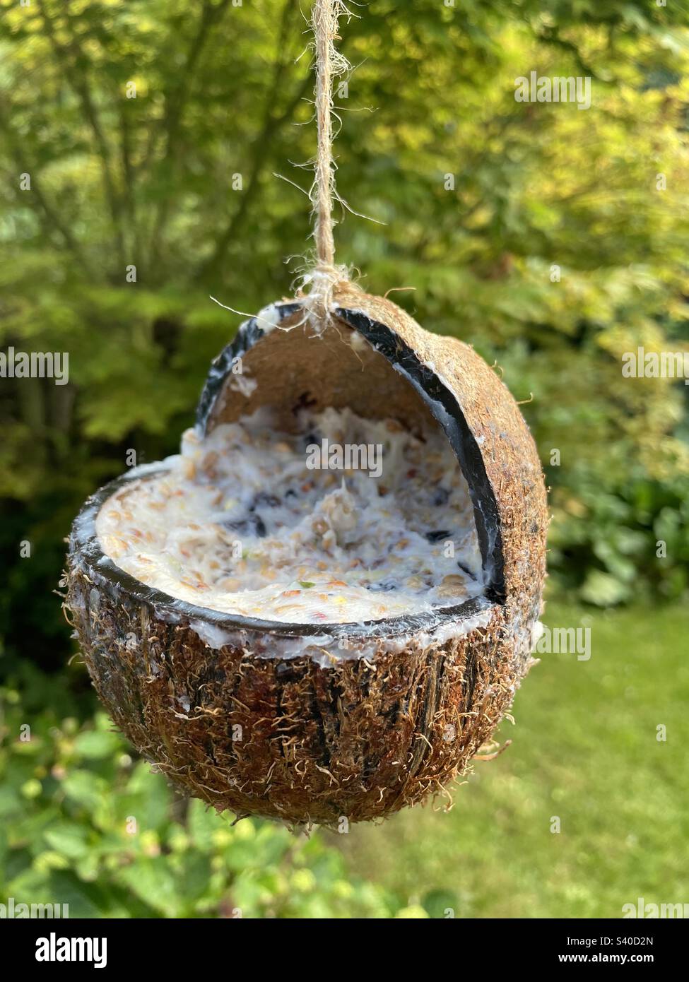 Coconut bird hi-res stock photography and images - Alamy