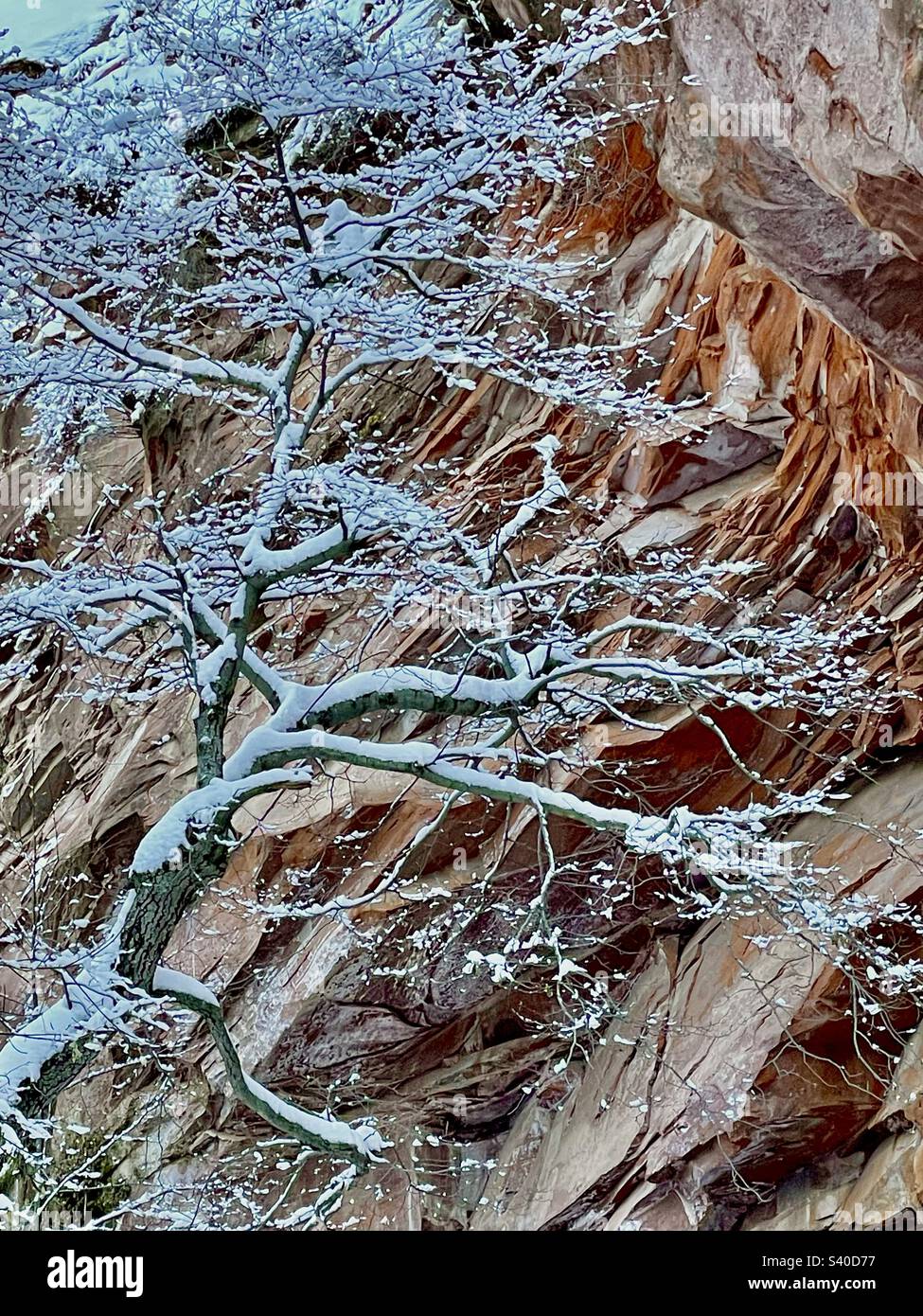 Red rock cliff face hi-res stock photography and images - Alamy