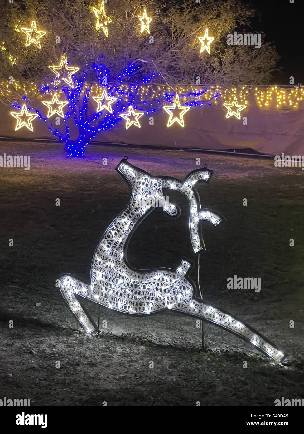 Deer lights hi-res stock photography and images - Alamy