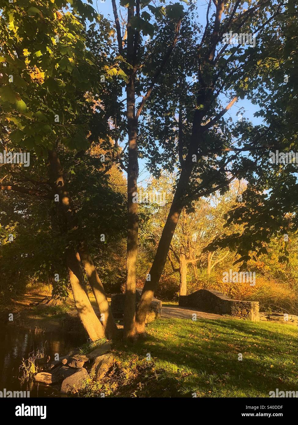 Golden hour nature hi-res stock photography and images - Alamy