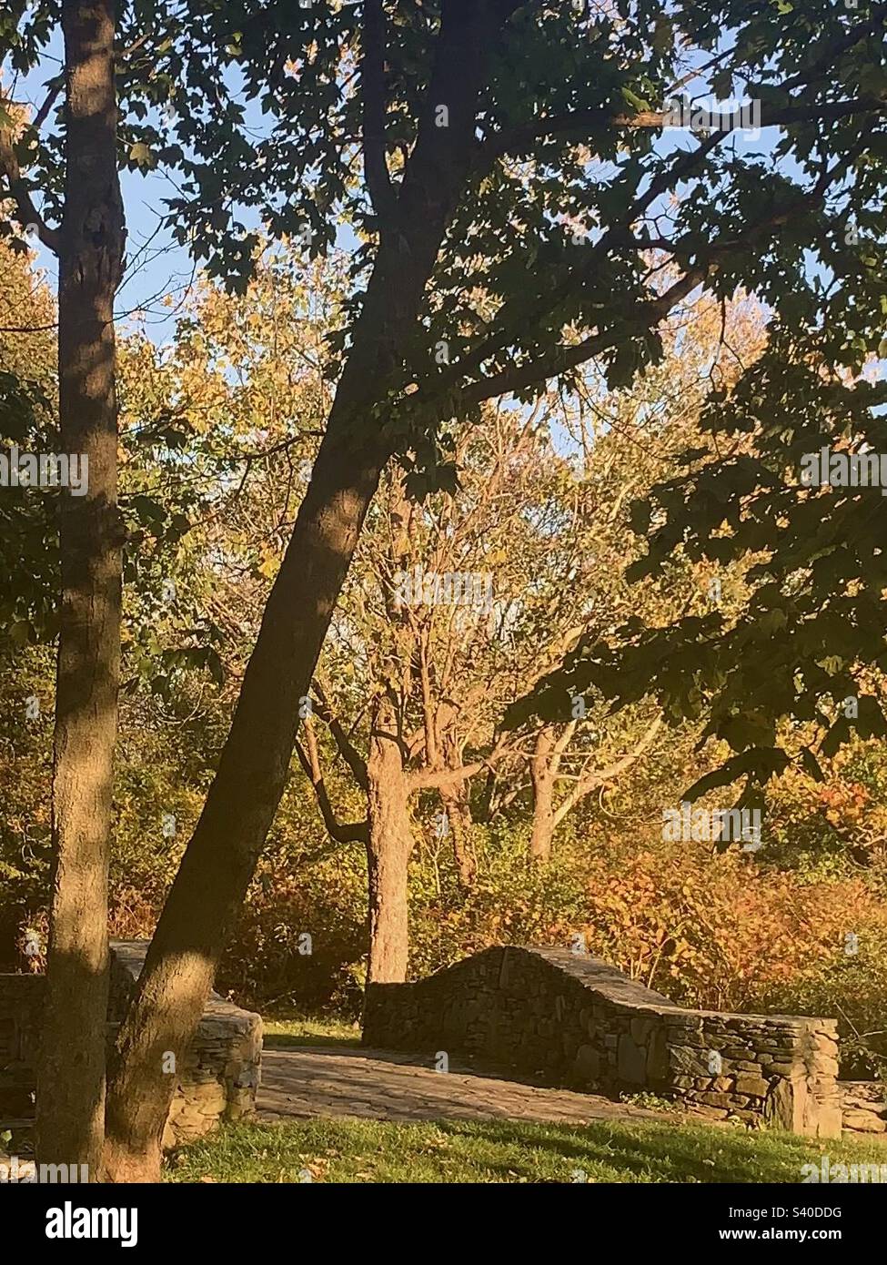 Stone bridge at golden hour Stock Photo - Alamy