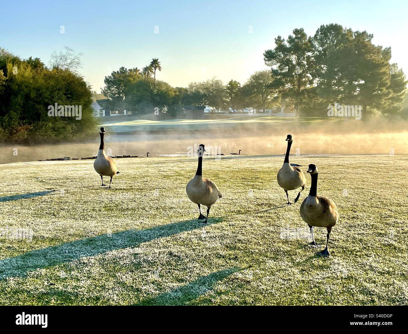 Frozen golf course hi-res stock photography and images - Alamy