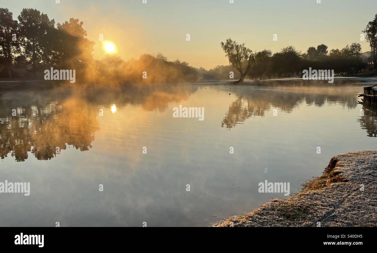 Invitation into eternity, Mirror reflections of tree line and golden ...