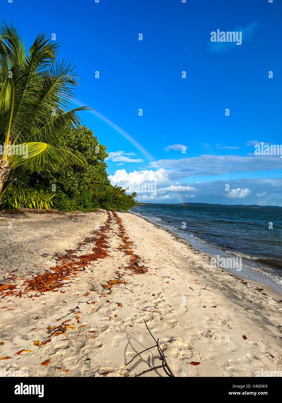 Bahia beach hi-res stock photography and images - Alamy