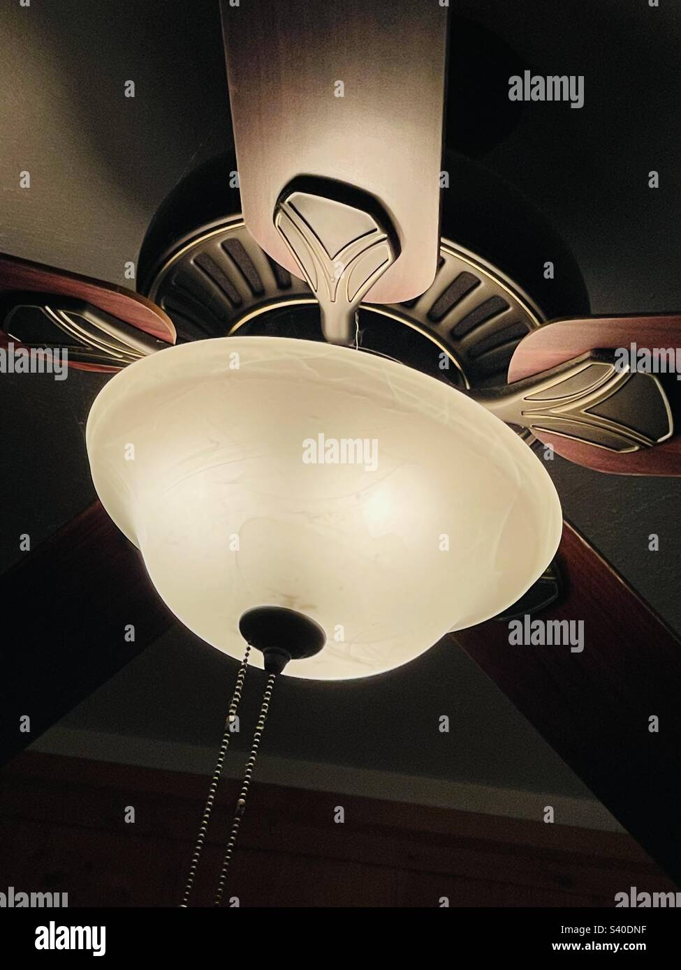 Fan dome hi-res stock photography and images - Alamy