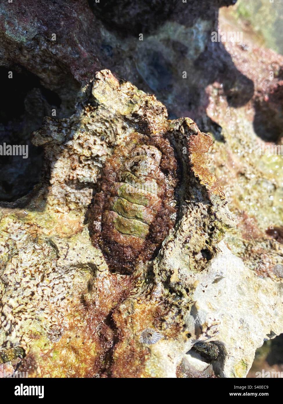 Sombrero beach hi-res stock photography and images - Alamy