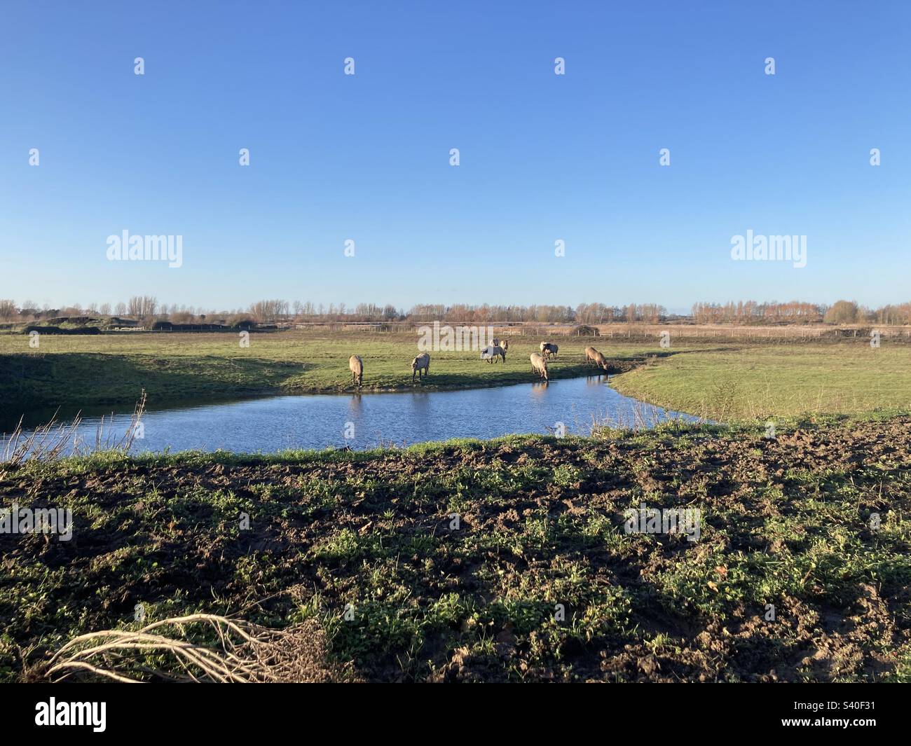 East anglia fens hi-res stock photography and images - Alamy