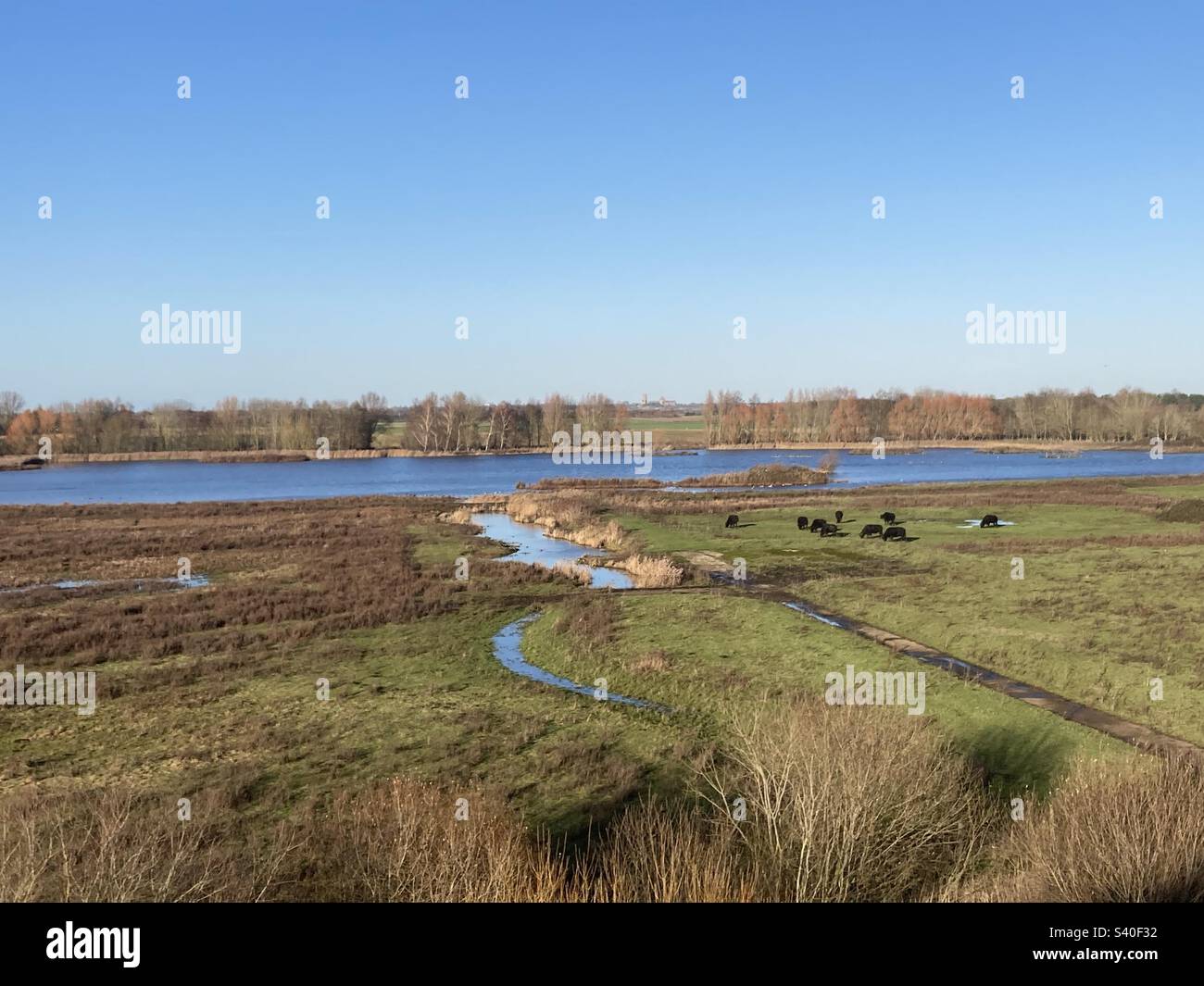 Ely fens hi-res stock photography and images - Alamy