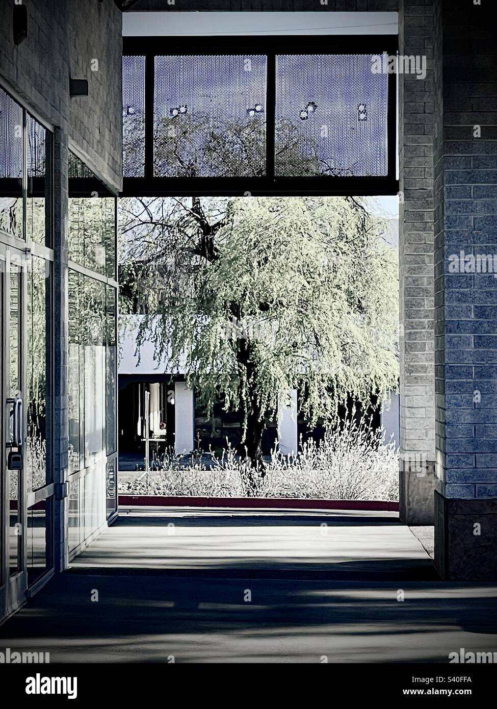 Padlocked storefront hi-res stock photography and images - Alamy