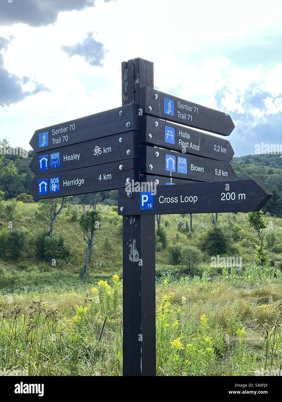 The gatineau park hi-res stock photography and images - Alamy