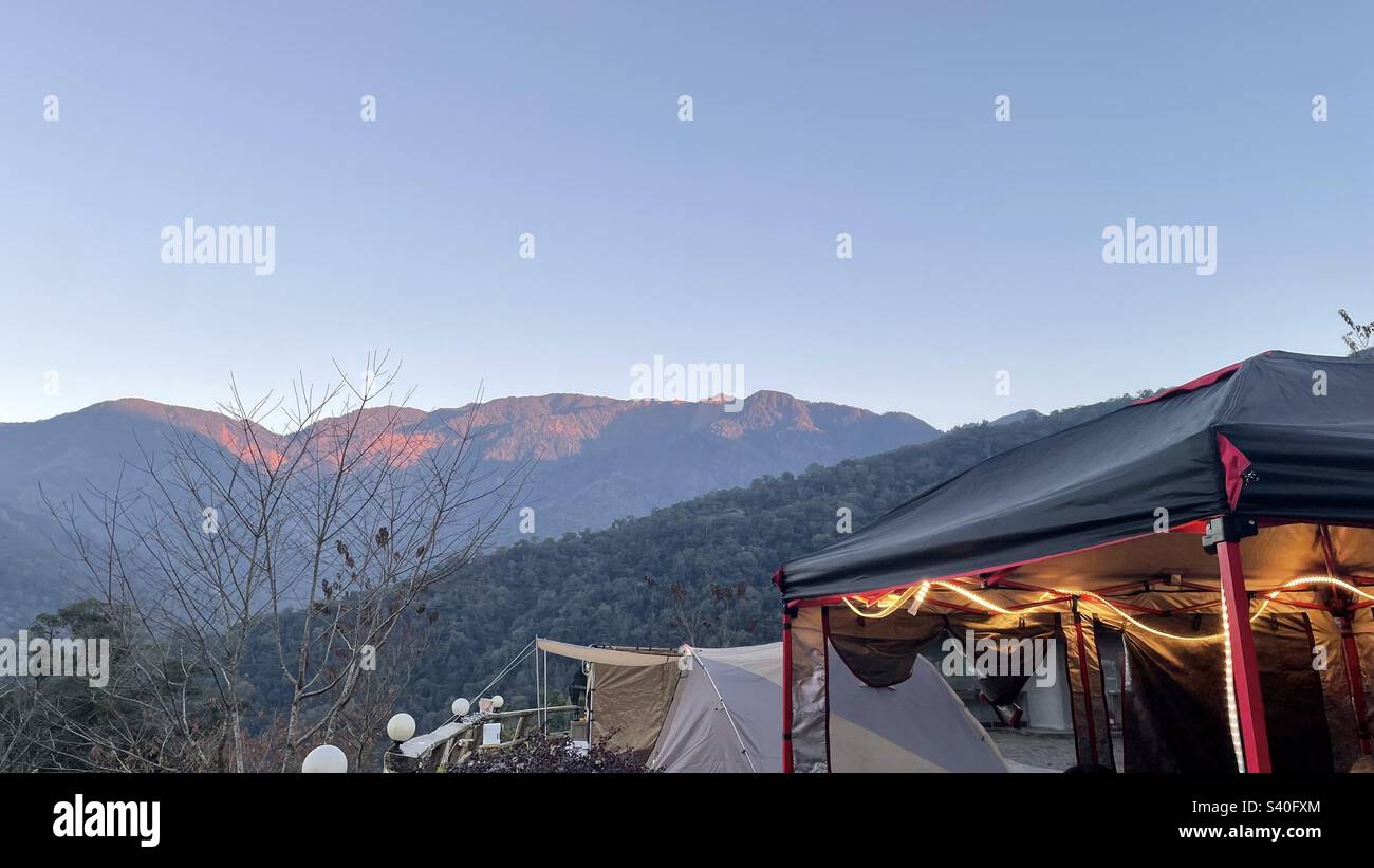 It’s a nice camping day, we felt peaceful in the forest Stock Photo - Alamy