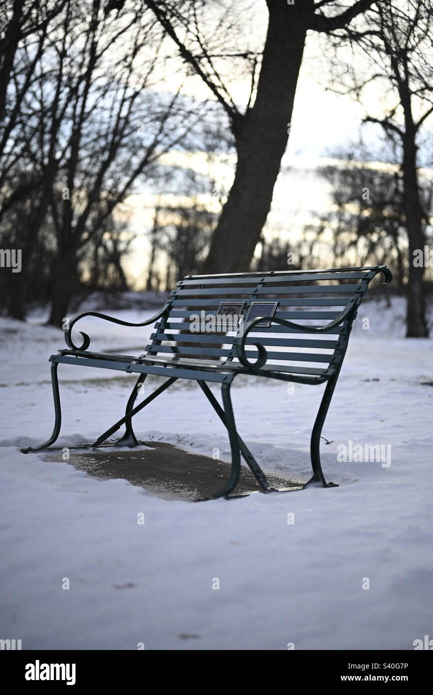 Winter park bench hi-res stock photography and images - Alamy