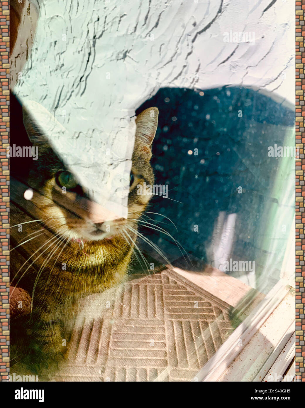 Cat through cat door hi-res stock photography and images - Alamy