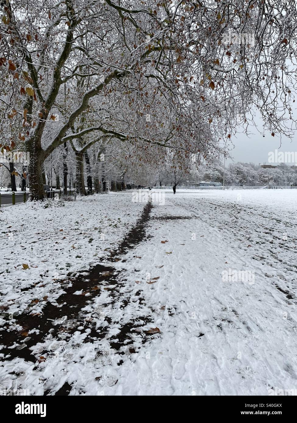 Festive london park hi-res stock photography and images - Alamy