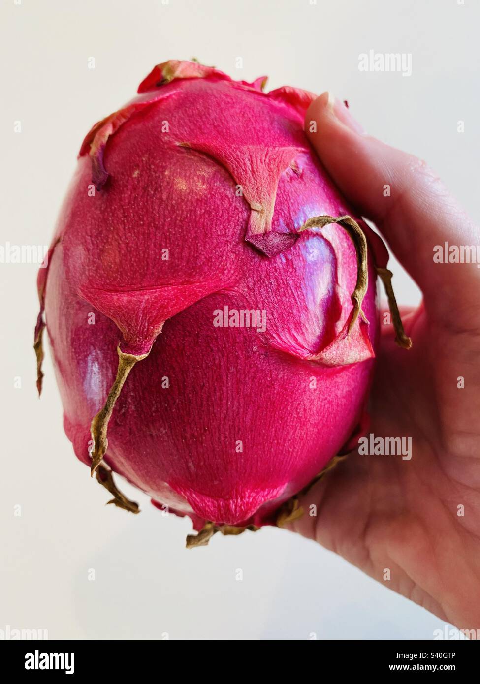 Hand holding a red flesh dragon fruit Stock Photo - Alamy
