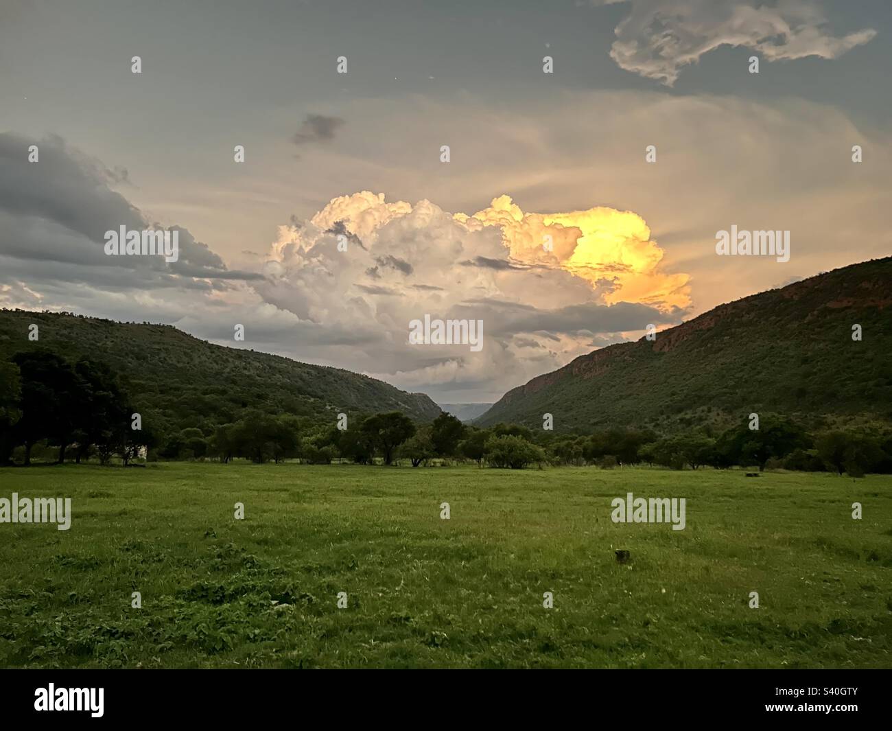Golden hour nature hi-res stock photography and images - Alamy