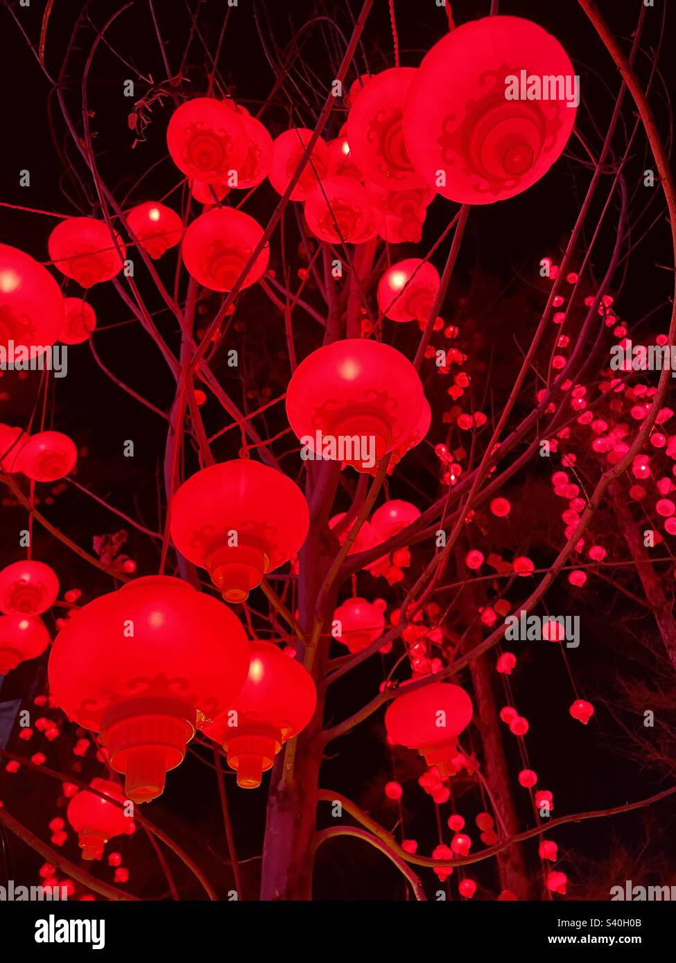 Spring of 2023 hi-res stock photography and images - Alamy