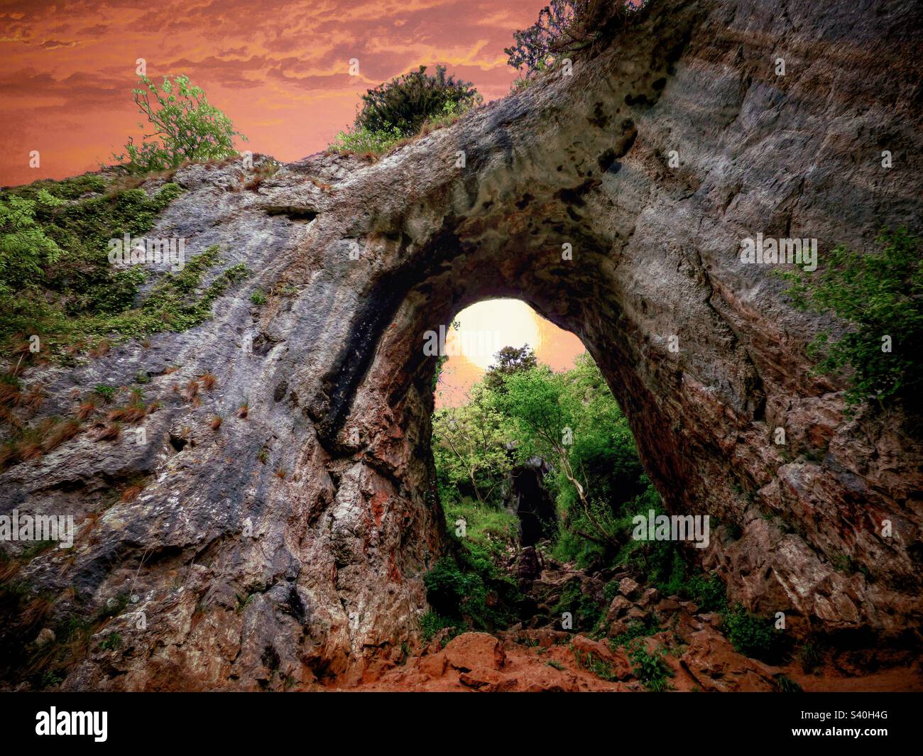 Reynard cave hi-res stock photography and images - Alamy