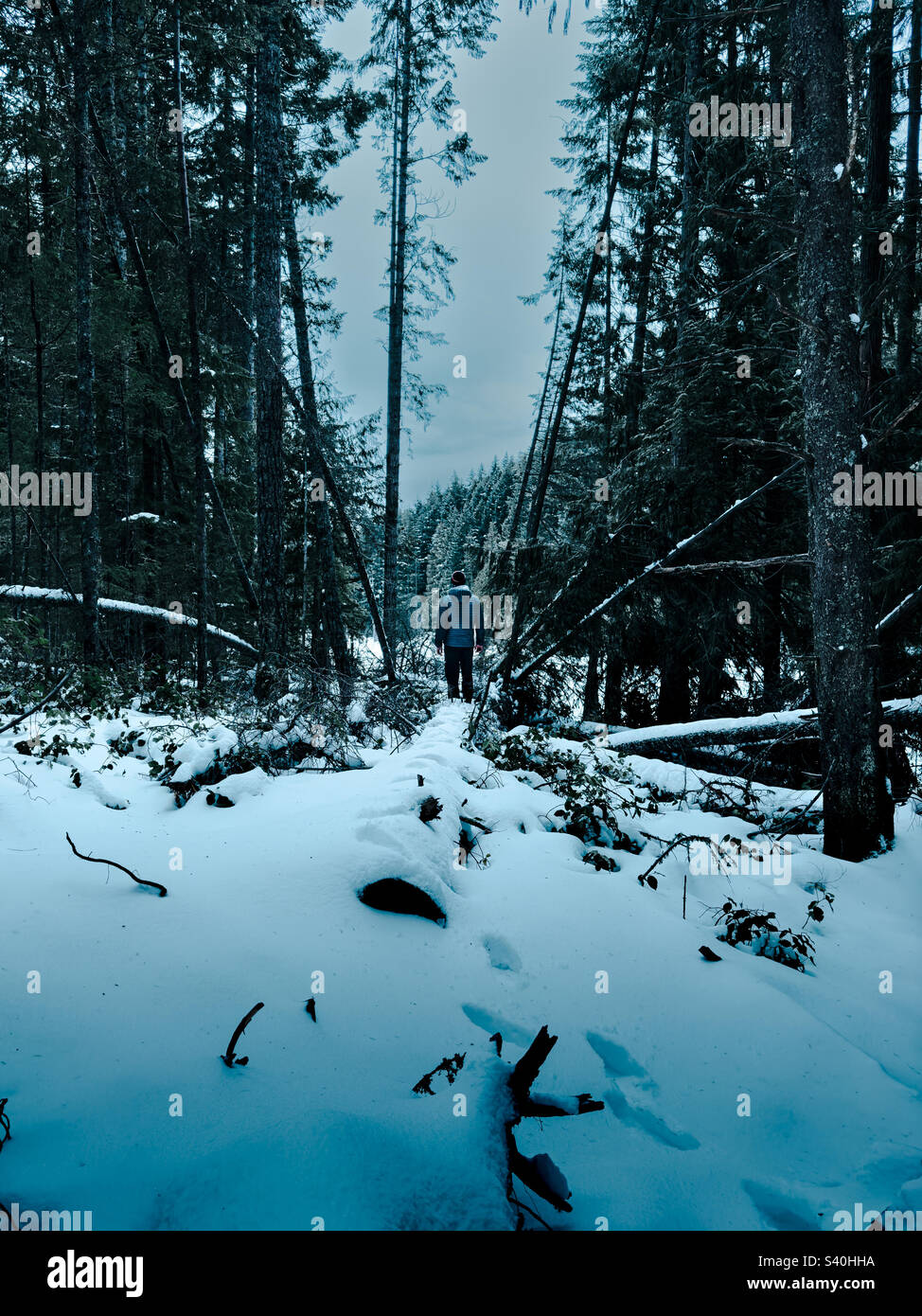 Man Standing Alone in Wilderness During Winter Stock Photo - Alamy