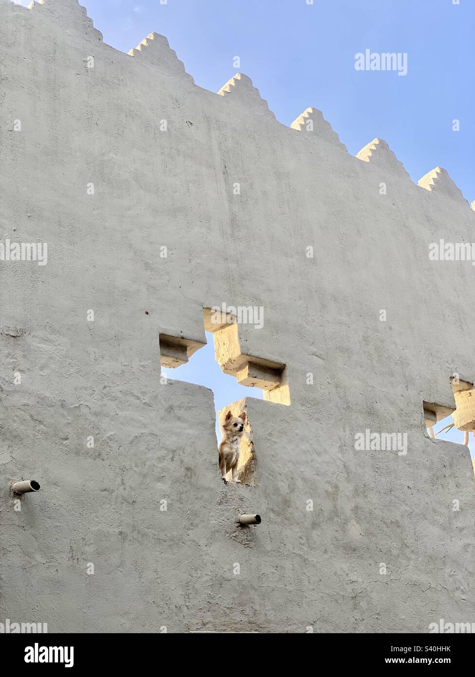 Strength of faith hi-res stock photography and images - Alamy