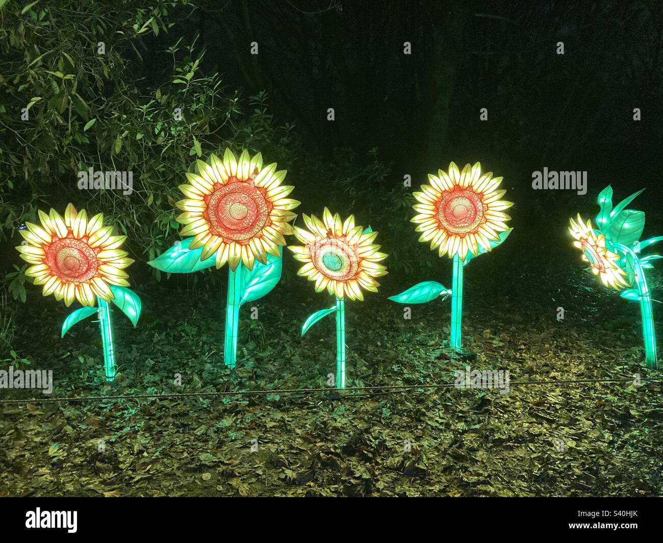 Lightopia heaton hi-res stock photography and images - Alamy