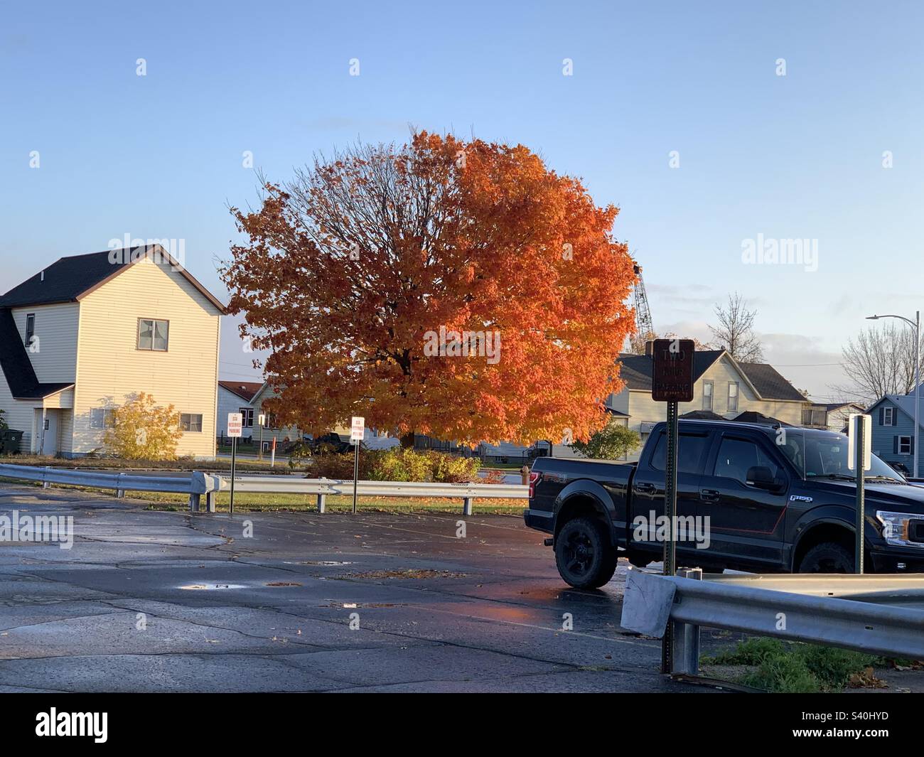 Flaming orange leaves hi-res stock photography and images - Alamy