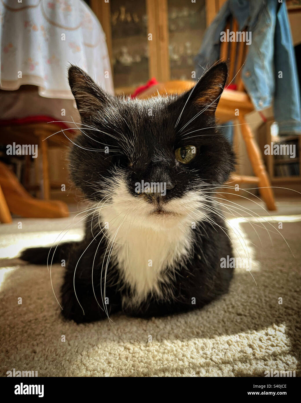 One eye jack hi-res stock photography and images - Alamy