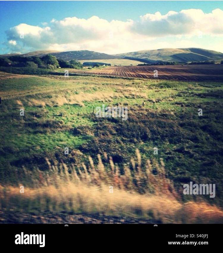 Scotland agriculture hi-res stock photography and images - Alamy