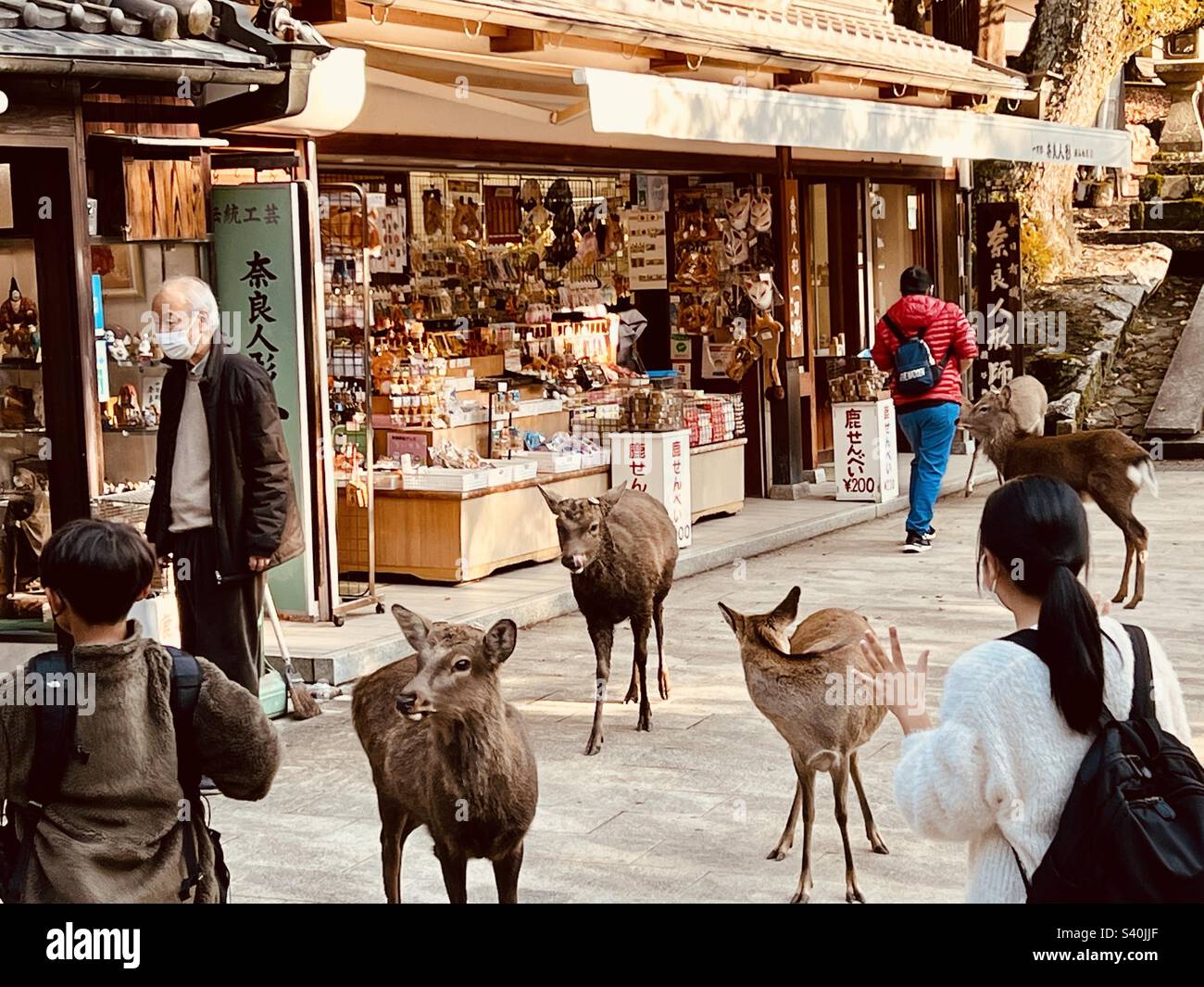 Street in nara hi-res stock photography and images - Alamy