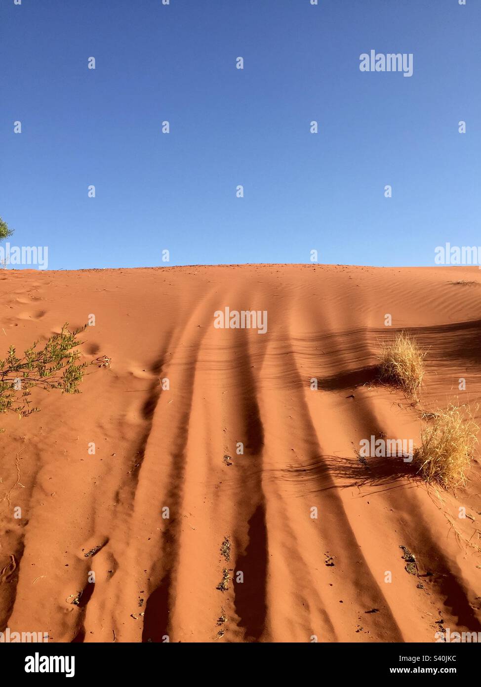 Desert track through red sand Stock Photo - Alamy