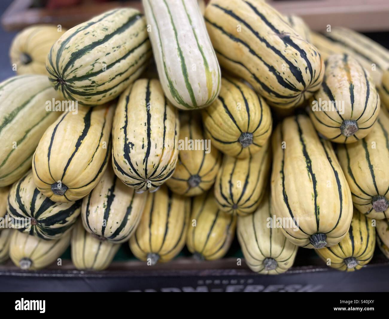 Pale green stripes hi-res stock photography and images - Alamy